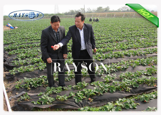 100% Virgin Polypropylene Super Wide Non Woven Landscape Fabric Hight Strength
