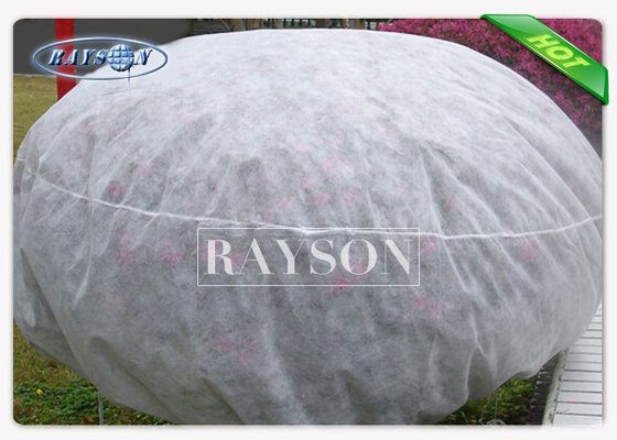UV 1% Breathable 34g Garden Weed Control Fabric Non Woven Crop Cover