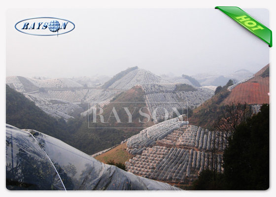 22GSM Frost Protection Cover For Garden Flower , Agricultural Fleece