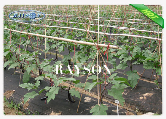 Black 50GSM Non Woven Garden Weed Control Fabric Killing Weeds On Farm