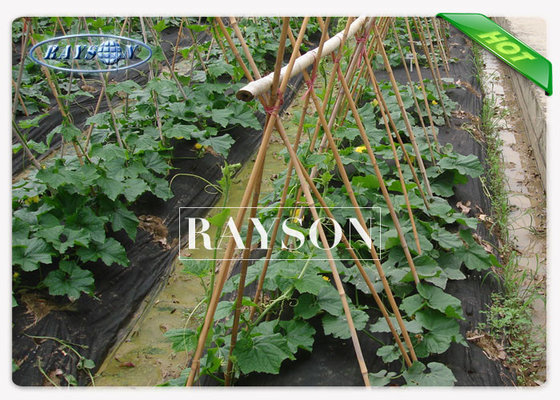 Strong / Durable Spunbond Non Woven Landscape Fabric Geotextile for Agriculture , Gardening