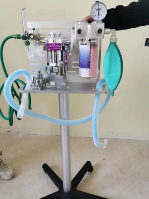 China Pet Anesthesia Machine supplier