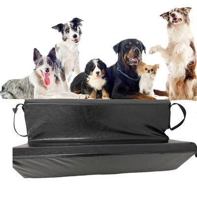 Veterinary X ray Mats supplier