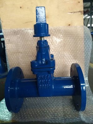 DN50 Flange Iron Resilient Seated Gate Valve Customized Din3352 Standard