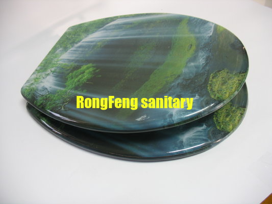 poly-toilet seat,17'18'19',zinc alloy hinge,S/S hinge,soft close hinge,color printed picture.
