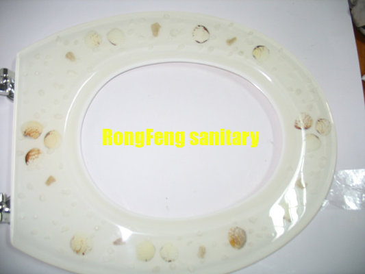 sea star shell toilet seat