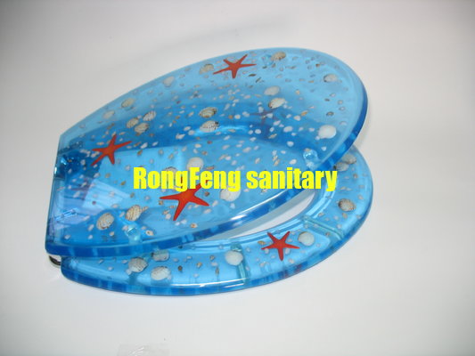 sea star shell toilet seat