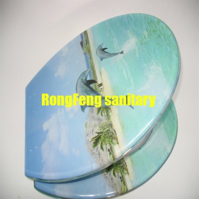 WC-Sitze ,18',round,enlong,color,