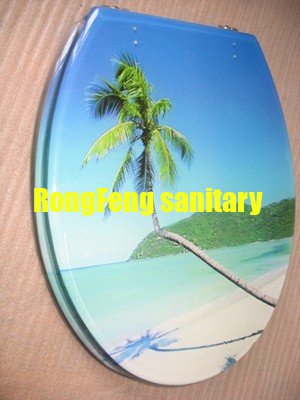 resin toilet seat cover,sanitary ware,hinge,MDF,PVC,PP,toilet,duroplastic toilet,body pic