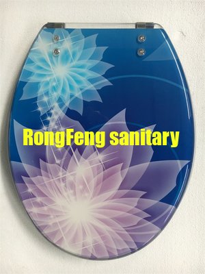inner paper design tranparent  polyresin  toilet seat with Zinc alloy hinge