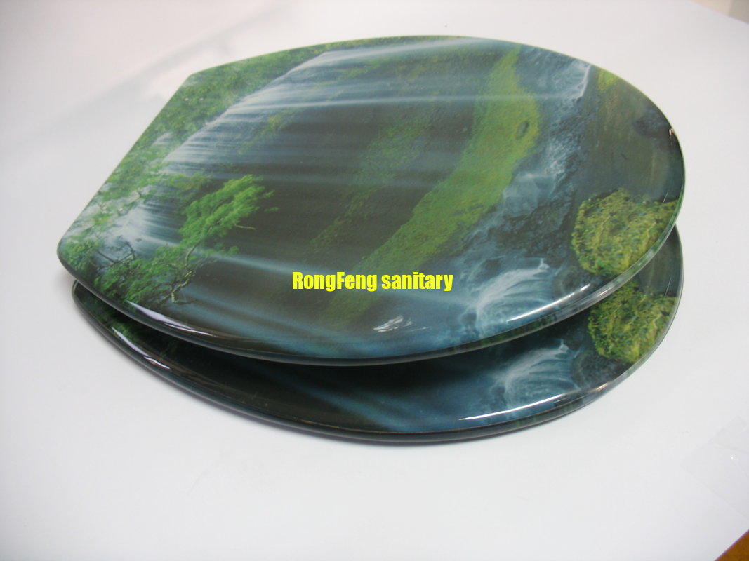 poly-toilet seat,17'18'19',zinc alloy hinge,S/S hinge,soft close hinge,color printed picture.