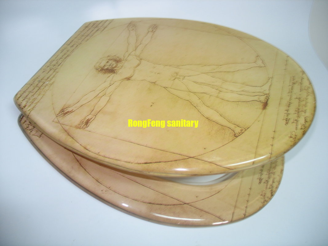resin toilet seat,17'18'19',zinc alloy hinge,S/S hinge,soft close hinge