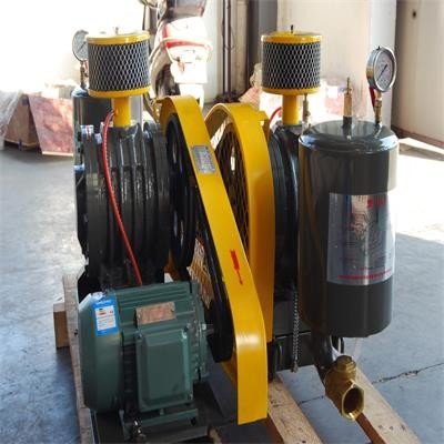 Rotary blower supplier