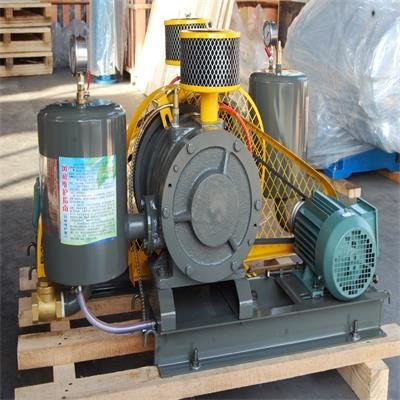 Rotary blower supplier