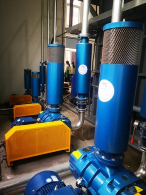 RH10032 rotary blower for waste water aeration supplier
