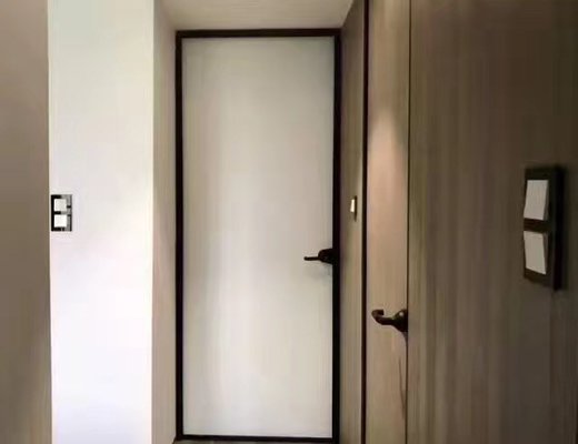 Modern Aluminum frame Customized Commerical Home use flush door design