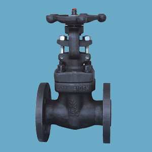 Forged Steel Bellow Seal Gate Valve//sluice valve/velan gate valves/sluice valves/brass gate valves/mueller gate valves