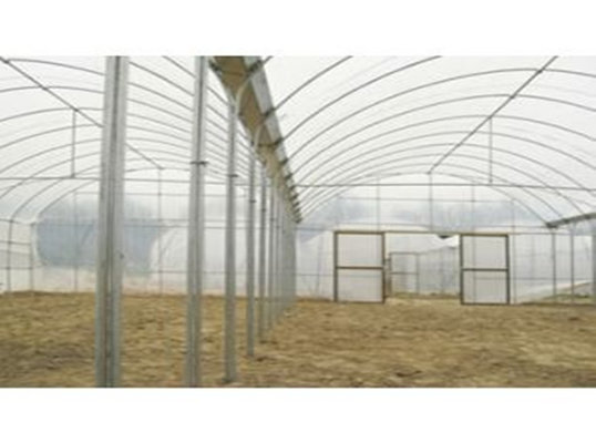 16Mn / 20MN2 ERW Carbon Steel Structural Pipe / ERW Welded Tubes For Agricultural Greenhouse