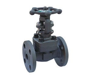 Forging steel flange gate valves