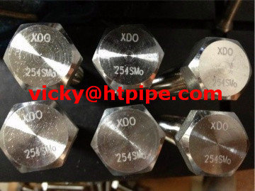 S32760 F55 stainless steel fastener stud bolt &amp; hex nut Zeron100 en1.4501