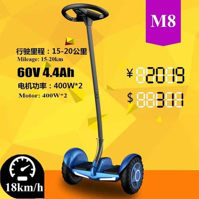 10 Inch Skywalker Segway 2 Wheel Self Balancing Scooter With Bluetooth