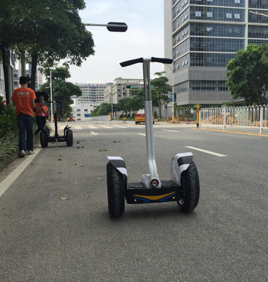 19 Inch Tire 2 Wheel Self Balancing Scooter Foldable with Gradienter