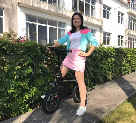 Eco-friendly 2 Wheels Electric Scooter , Foldable Sport Electric Motorcycle