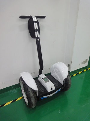Freego Mini Self Balancing Electric Scooter For Kids , 8AH Li Battery 48V 8Ah DC