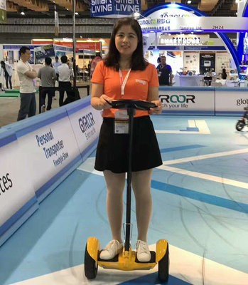 2 Wheel Electric Stand Up Scooter Self Balance Segway For Children