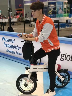 500 W 2-Wheel Foldable Electric Scooter Lightweight With Aluminum Alloy Body