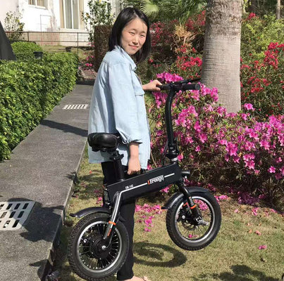 Foldable Portable Mobility Scooters Rechargeable Lithium Polymer Battery
