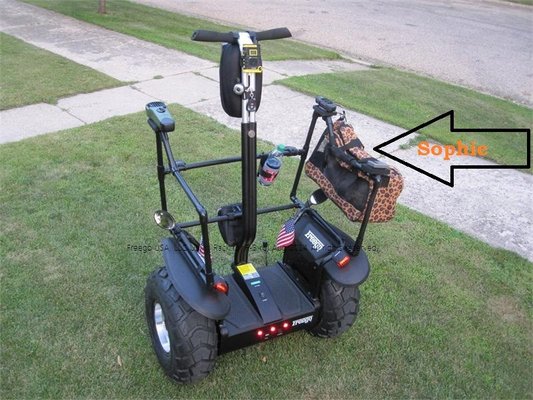 Personal Transport Self Balancing electric Vehicle For adults 72V 2000W motor