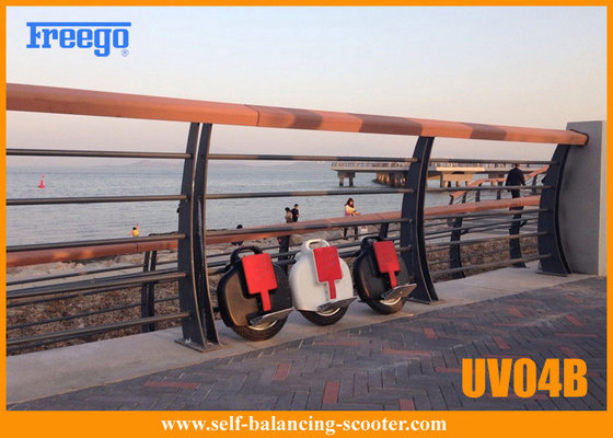 Eco Self Balancing Unicycle 500W Hub Motor Outing Fun 500 W