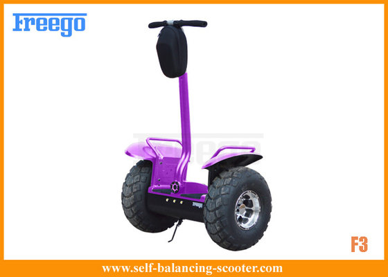 Chinese Segway Gliding Self Balancing Scooter Kit for Rent Business