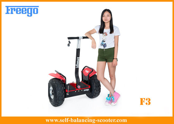 2 Wheel Smart Scooter Heavy Duty Off Road Swegway Hoverboard With Led Lights