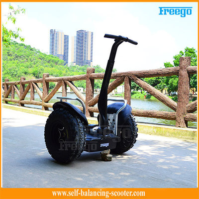Cub Brushless Two Wheel Stand Up Electric Scooter Light Weight