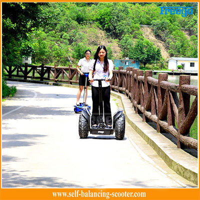 Leadway Outdoor Sports Electric Self Balancing Scooter With 2 Wheels