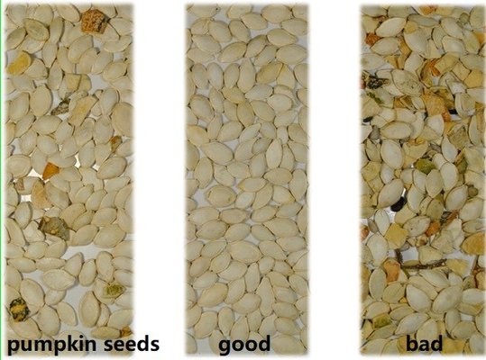 Seeds sesame color Sorter machine optical ccd grain color sorter for Cumin seeds