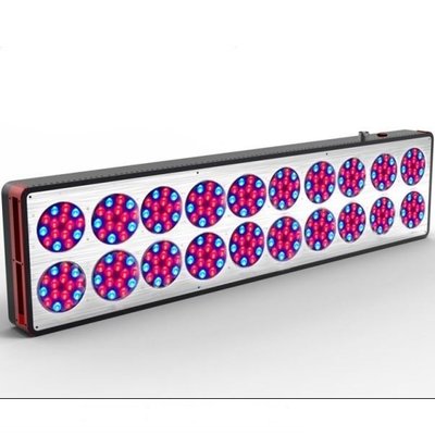 apollo 20 led grow lights for vegetable 1000 WLED grow light
