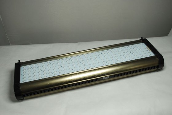 Cidly Phantom series 300W programmable dimmable timer LED Grow Light
