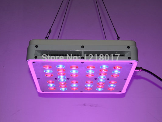 200W Cidly LED grow lights Flowering 5W-chip Hydroponics grow LED Lighting