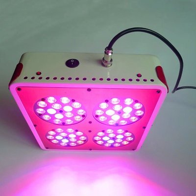 Agricultural equipment hydroponics grow light led with full spectrum, names all fruits