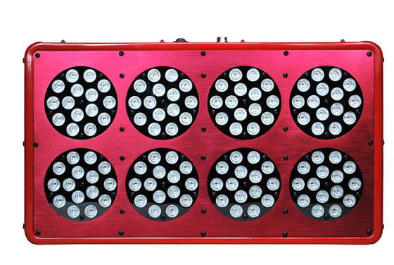 Manufacture Module Design 300W CIDLY LED 120x3w Full Spectrum led grow light