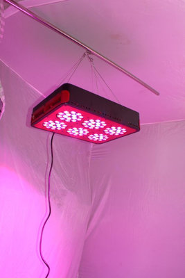 Agricultural equipment, agricultural machine cheap led grow light CIDLY with full spectrum