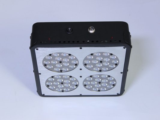 NFT hydroponic system 730nm full spectrum apollo 4 led grow light