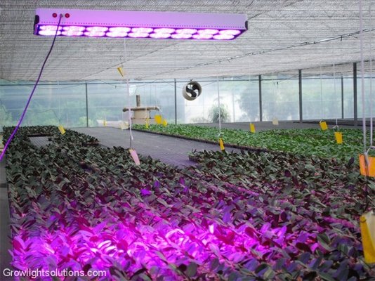 hydroponics supplies garden tools full spectrum led grow light, indoor plant grow light le
