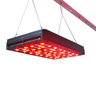 Chinese Cidly New design CDL A8 5w chip led grow light