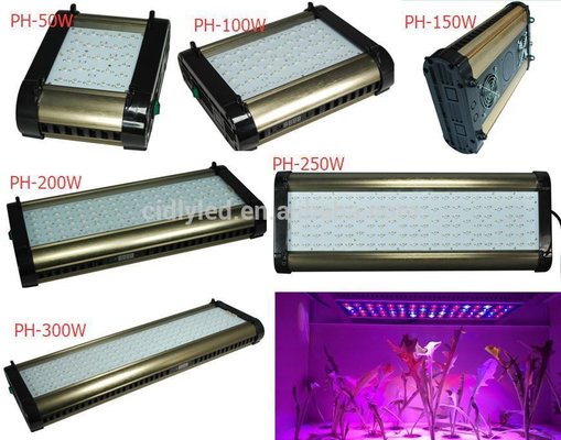 Cidly marine aquarium reef light full spectrum 300w led aquarium lights