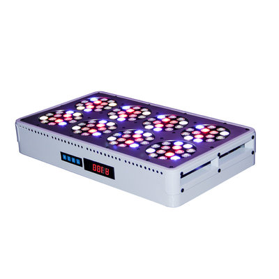 Promotion!DHL Free shipping 300W(120x3w) Apollo 8 Led grow light