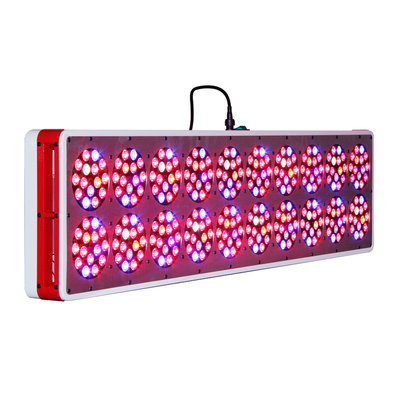 300pcs*3W Size:1174*283*85mm apollo 20 led 900w plant grow light (CE,RoHS,FCC,PSE)